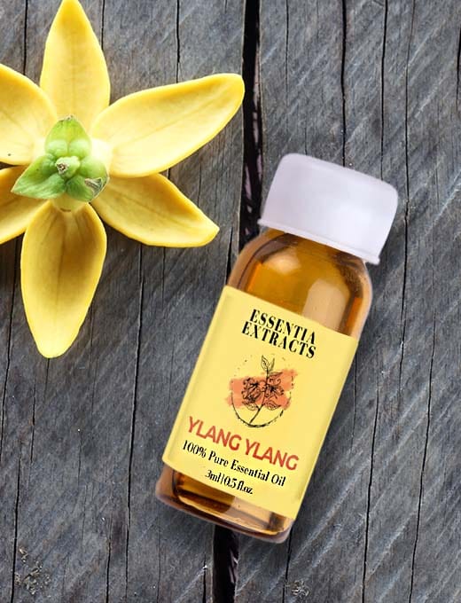 Ylang Ylang Essential Oil | Size: 3 ml By Essentia Extracts