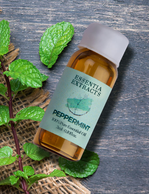 Peppermint Essential Oil | Size: 3 ml By Essentia Extracts